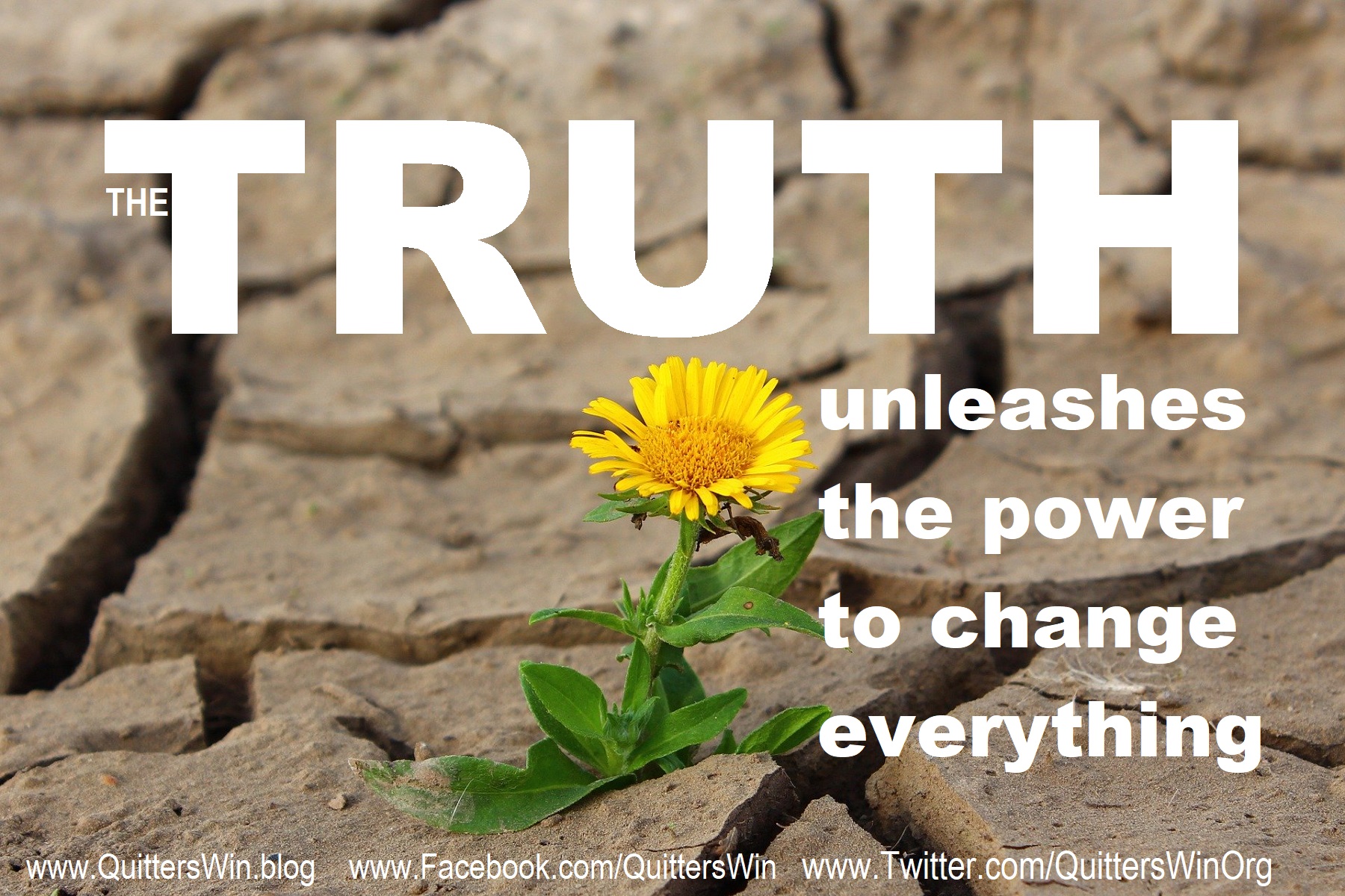 The Power Of Truth Quitterswin
